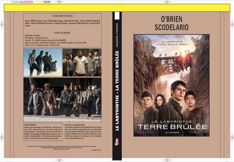 LE LABYRINTHE 2 - LA TERRE BRULEE – César Editions