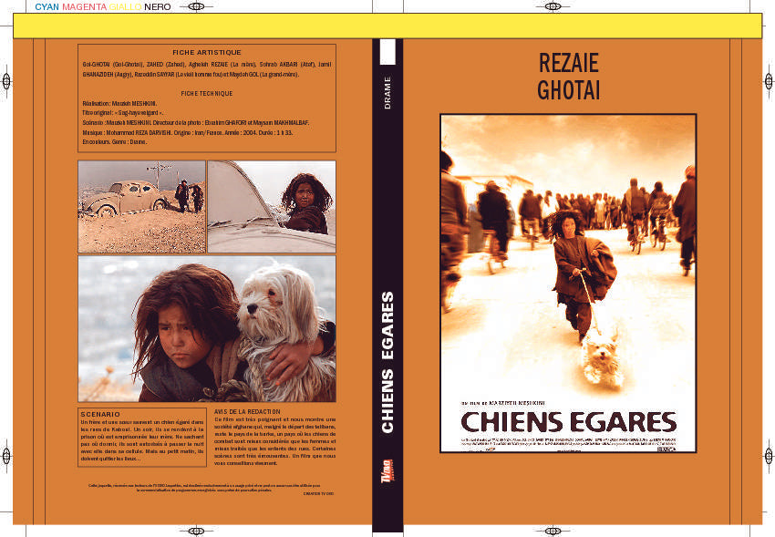 CHIENS EGARES – César Editions